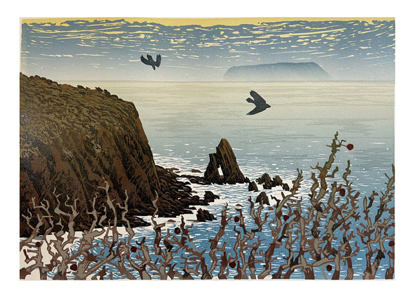 Hawthorn – Ian Phillips